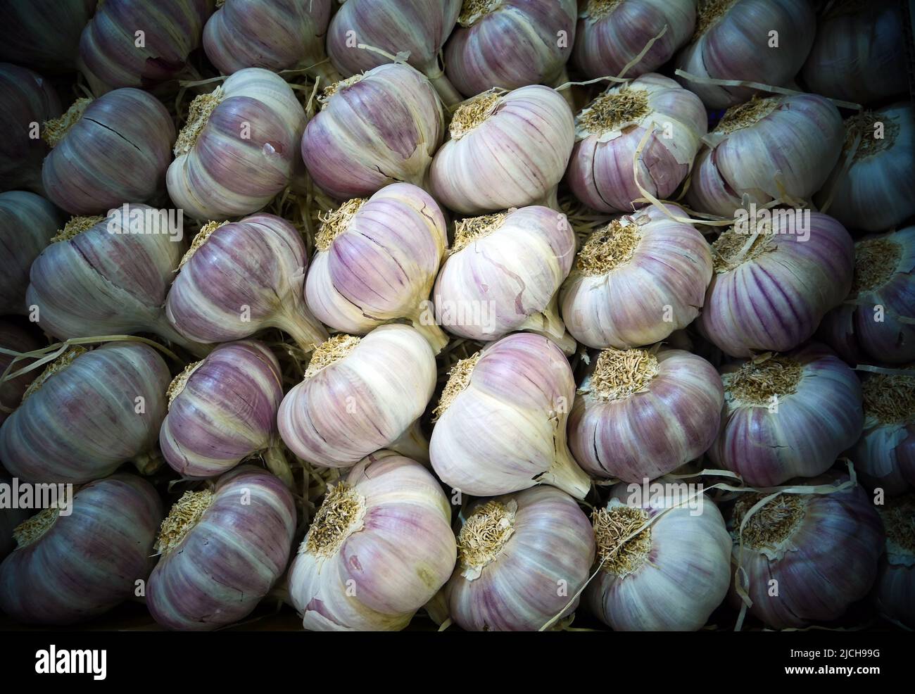 Berlin, Germany. 07th Apr, 2022. Garlic at Fruit Logistica, the ...