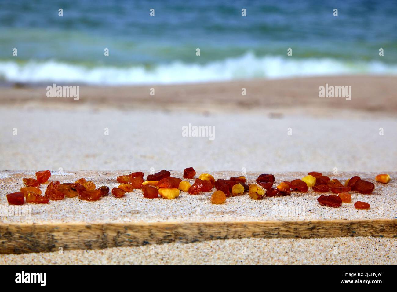 Pieces of raw amber are scattered on the sandy beach. A scattering of ...