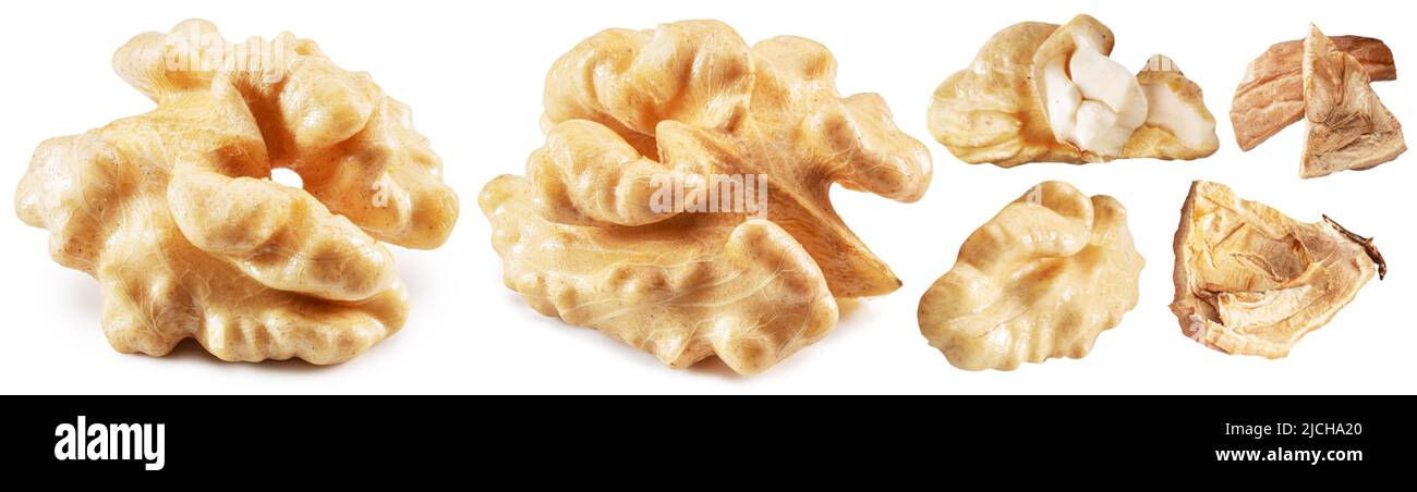 Set of walnut kernels isolated on white background. File contains ...