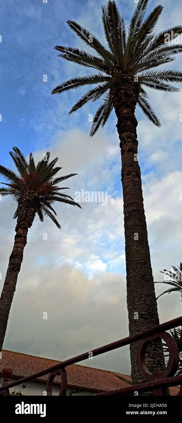 Summer Urban European Landscape from Terceira Island With Lots of ...