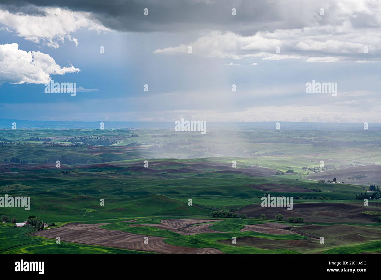 Palouse in Late Spring in Washington State Stock Photo - Alamy