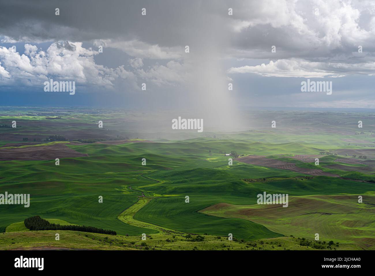 Spring in palouse hills washington hi-res stock photography and images ...