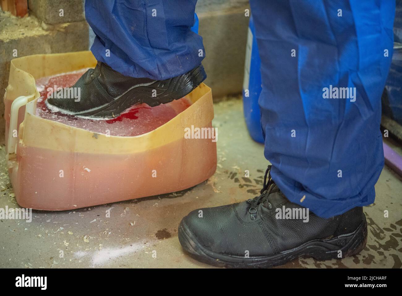 Biosecurity farm hi-res stock photography and images - Alamy