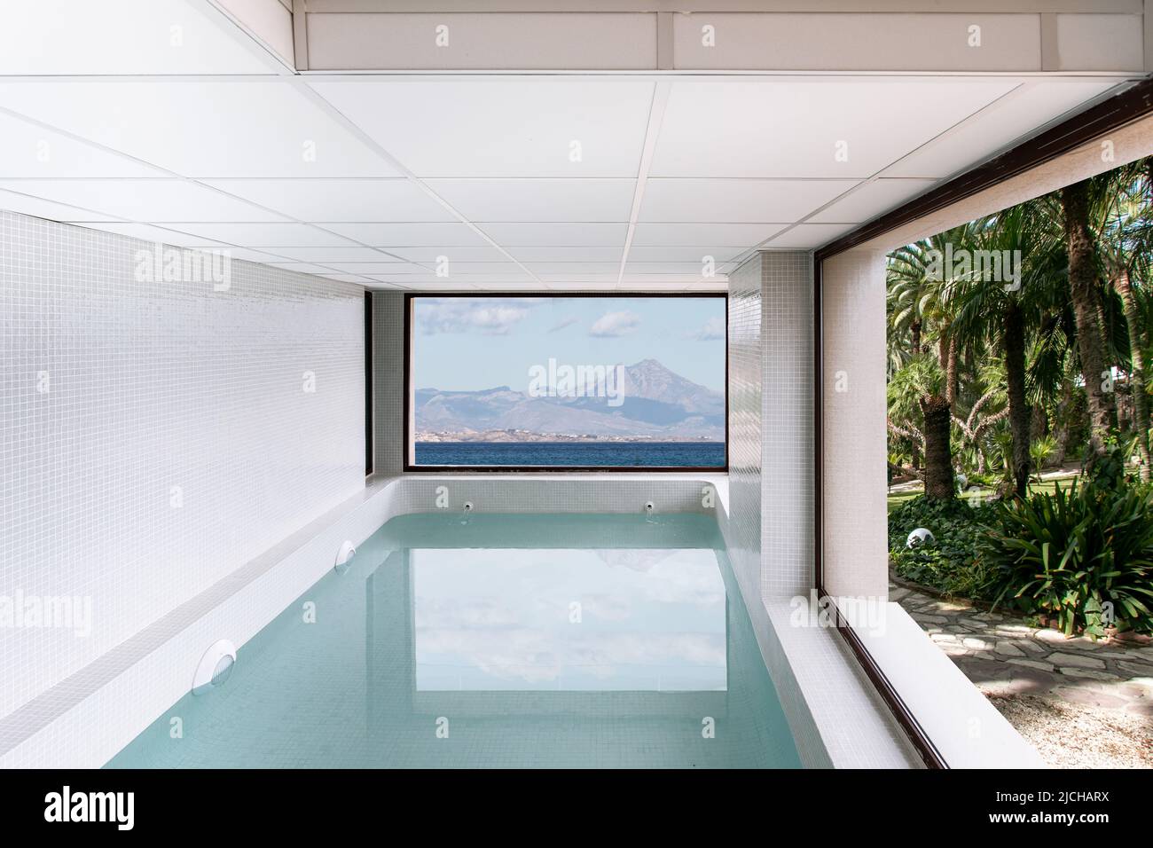 Small indoor pool with a beautiful view of the sea and the palm forest ...