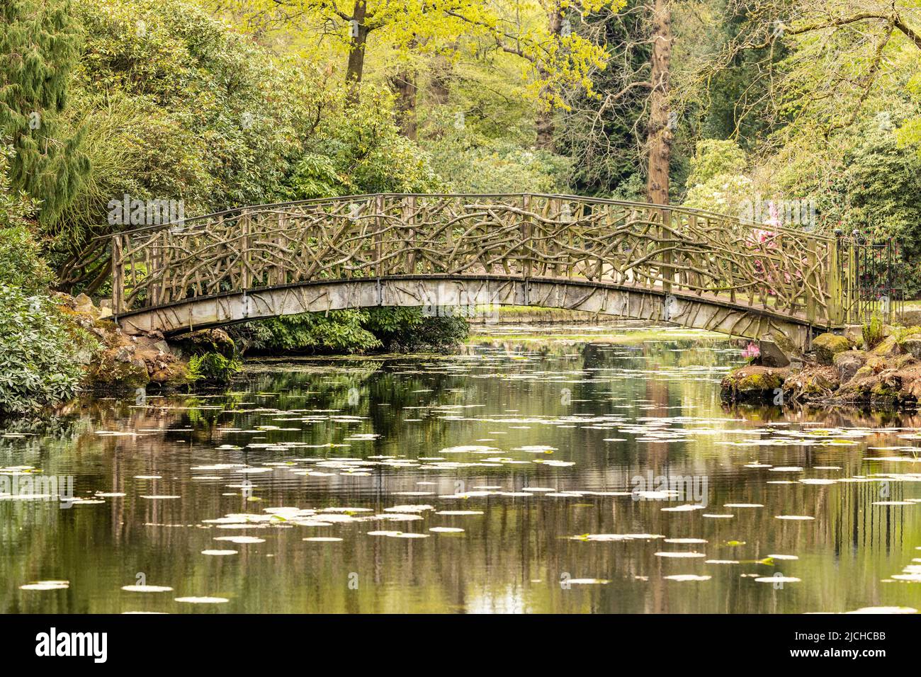 Beautiful Japanese garden with a pond Stock Photo - Alamy