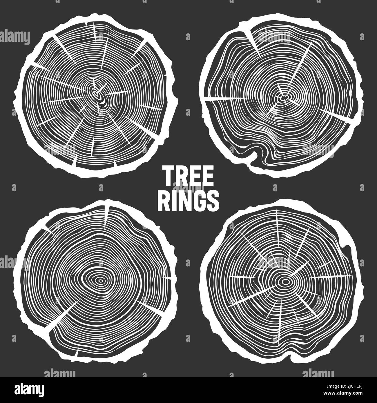 White oak tree rings Black and White Stock Photos & Images - Alamy