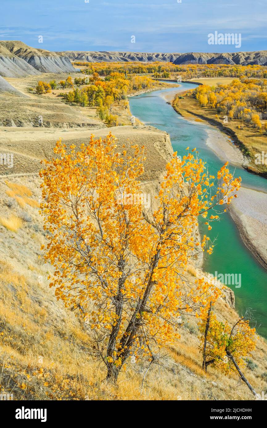 fall colors along the marias river near shelby, montana Stock Photo - Alamy