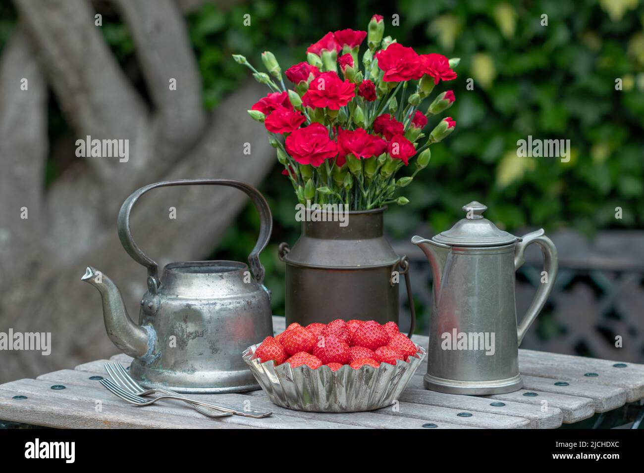 Carnation garden hi-res stock photography and images - Alamy