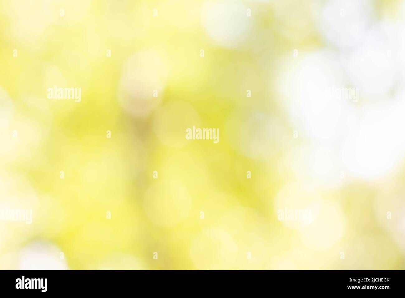 Abstract background. Background in blur out of focus. Texture in shades of green. Bokeh in the ...