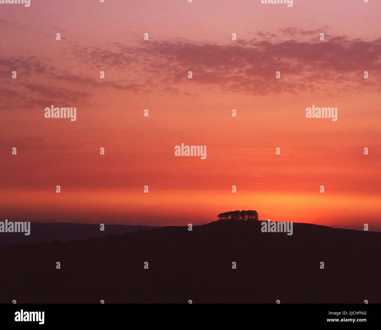 Iron Age Hill Fort, Dumpdon Hill, South Devon, UK Stock Photo - Alamy