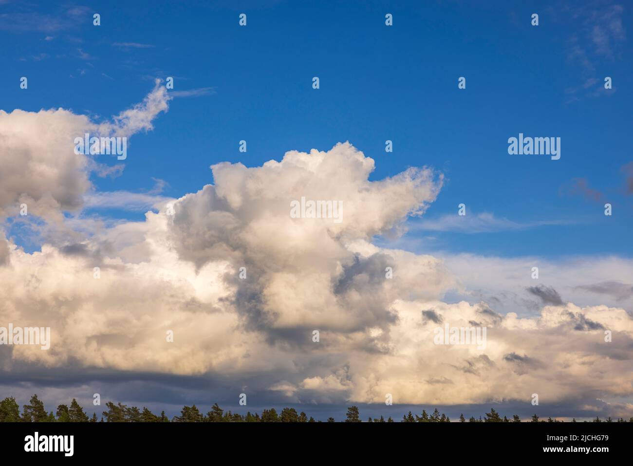 Beautiful blue sky landscape with storm clouds over tops of forest ...