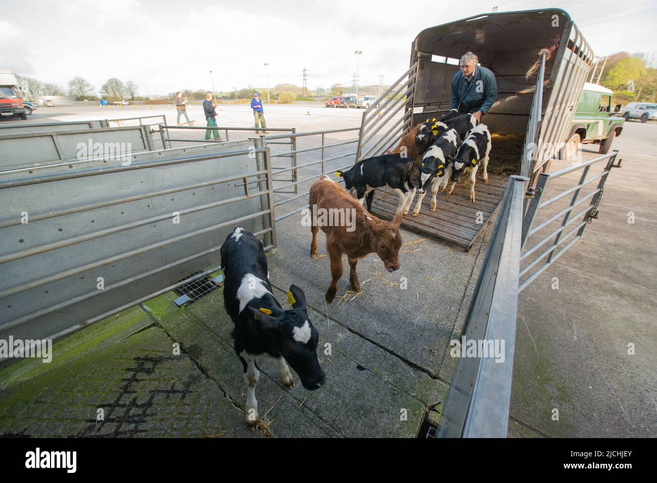 Livestock transport uk hi-res stock photography and images - Alamy