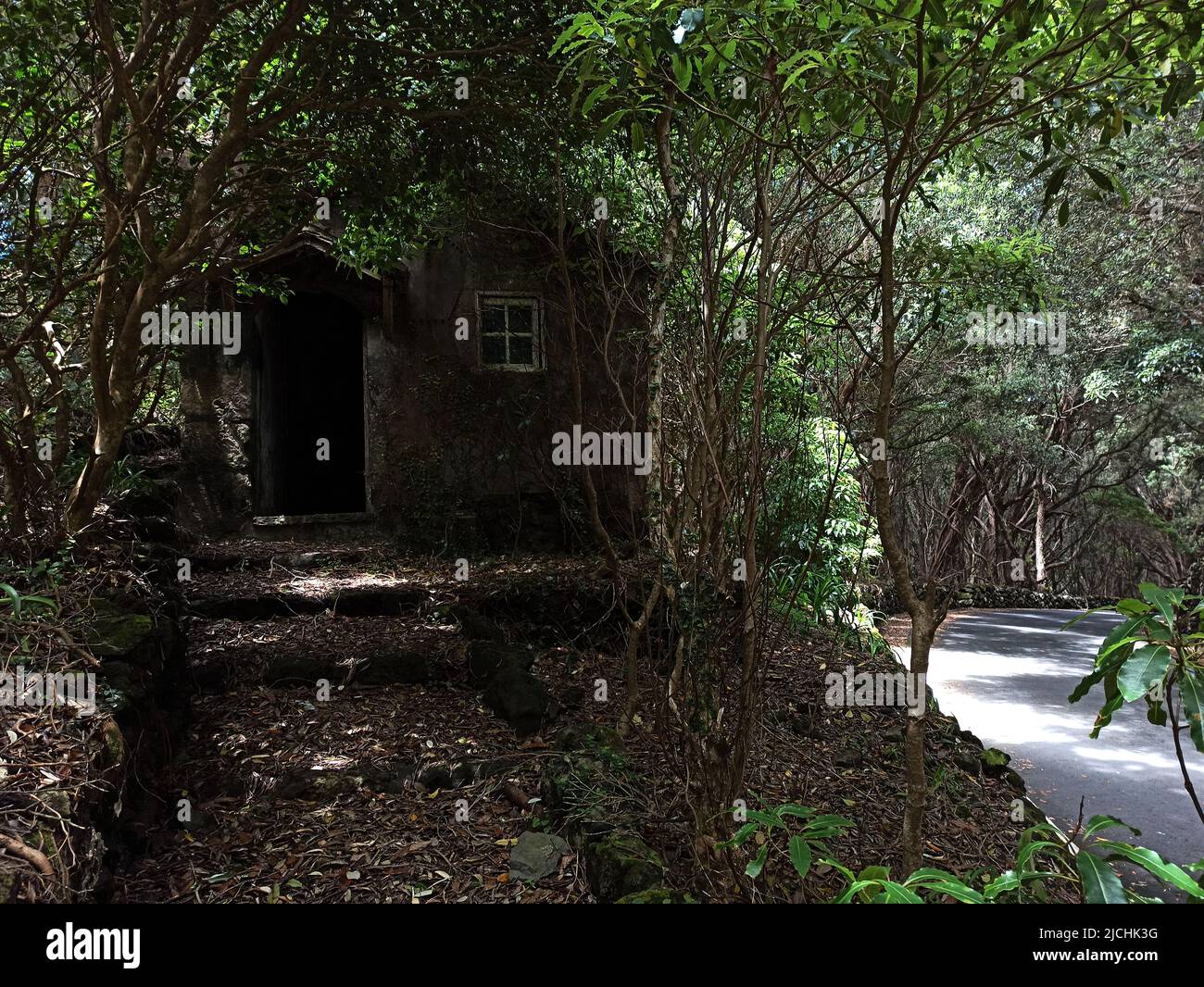 An old ladder house overgrown with different types of vegetation on the ...