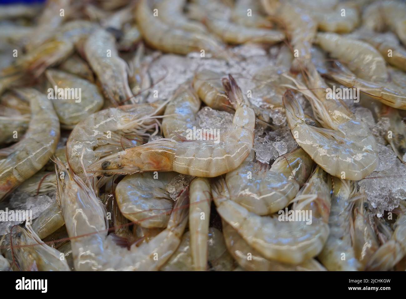Many fresh raw shrimps close up, heap of prawns on seafood market ...