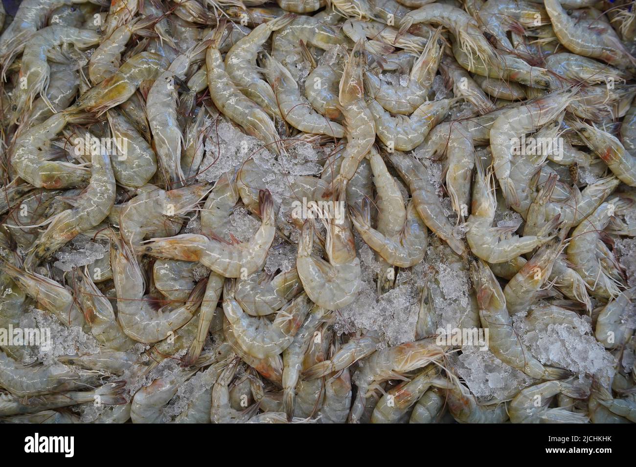 Many fresh shrimp just catch from fishery ship to sell at seafood ...