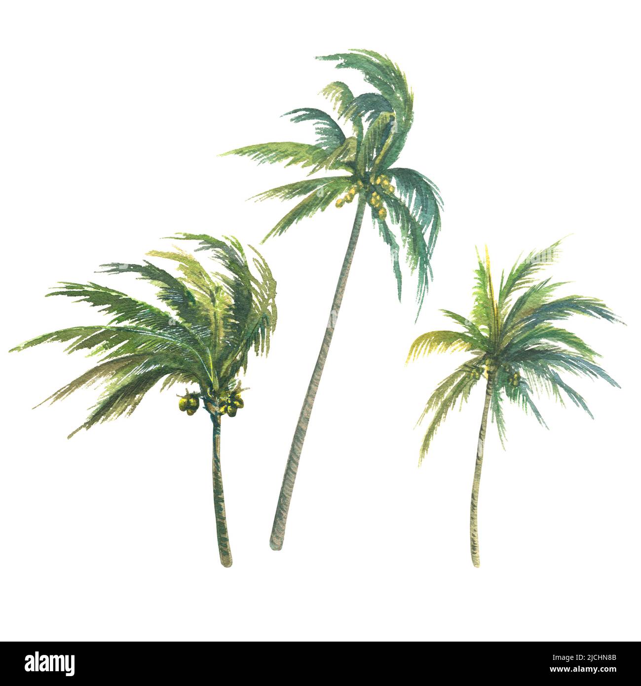 Postcards from hawaii hi-res stock photography and images - Alamy