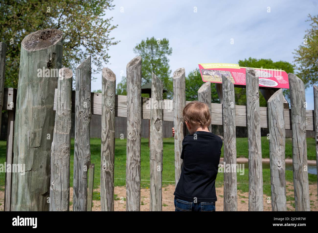 Isolated lost child looking through a wooden fence Stock Photo - Alamy