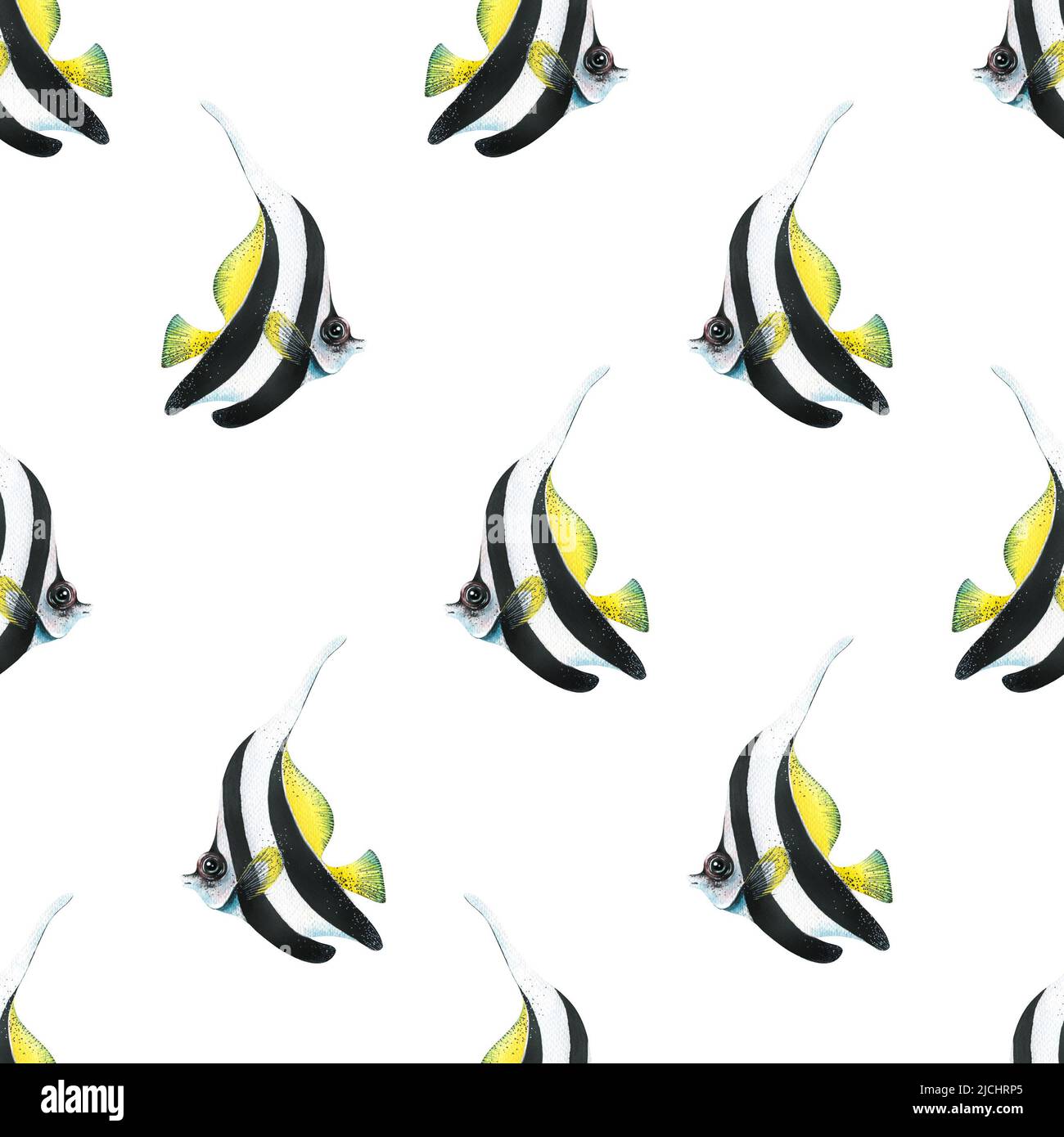 Tropical fish, triangular, striped with white, black and yellow ...