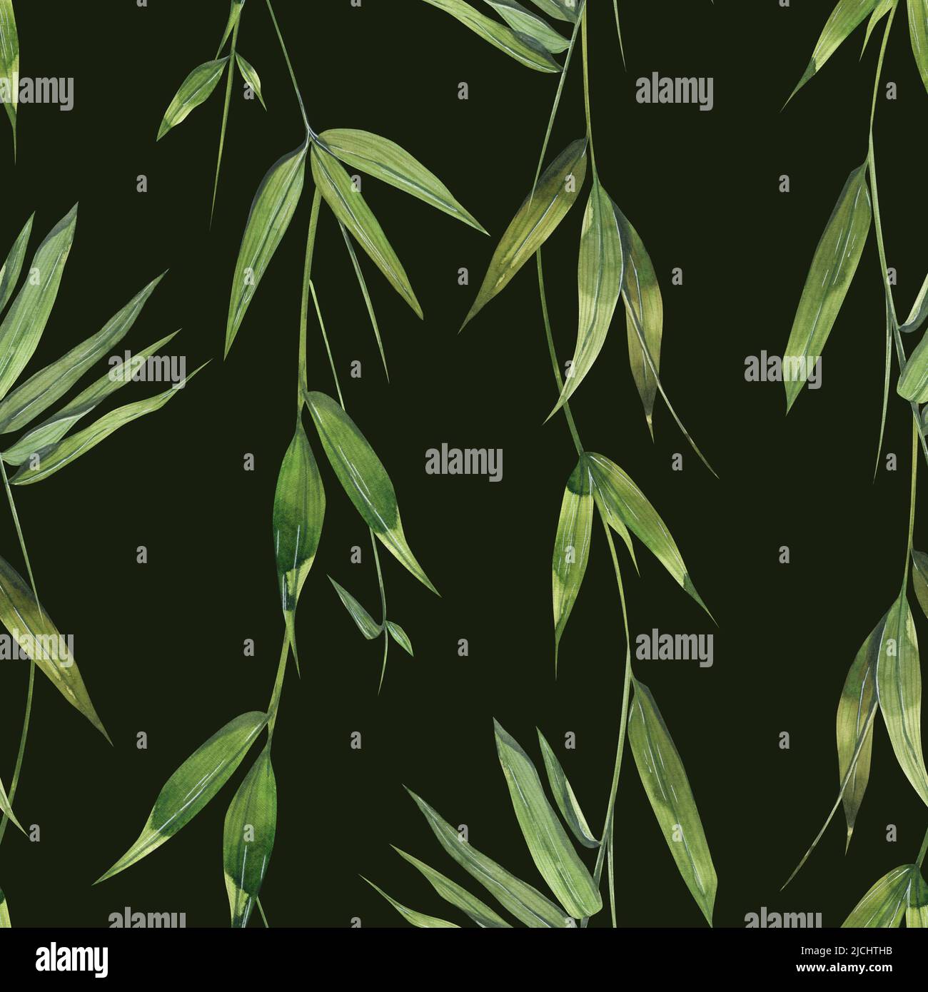 Bamboo tree leaves and twigs, Vertical, simple, tropical, seamless ...