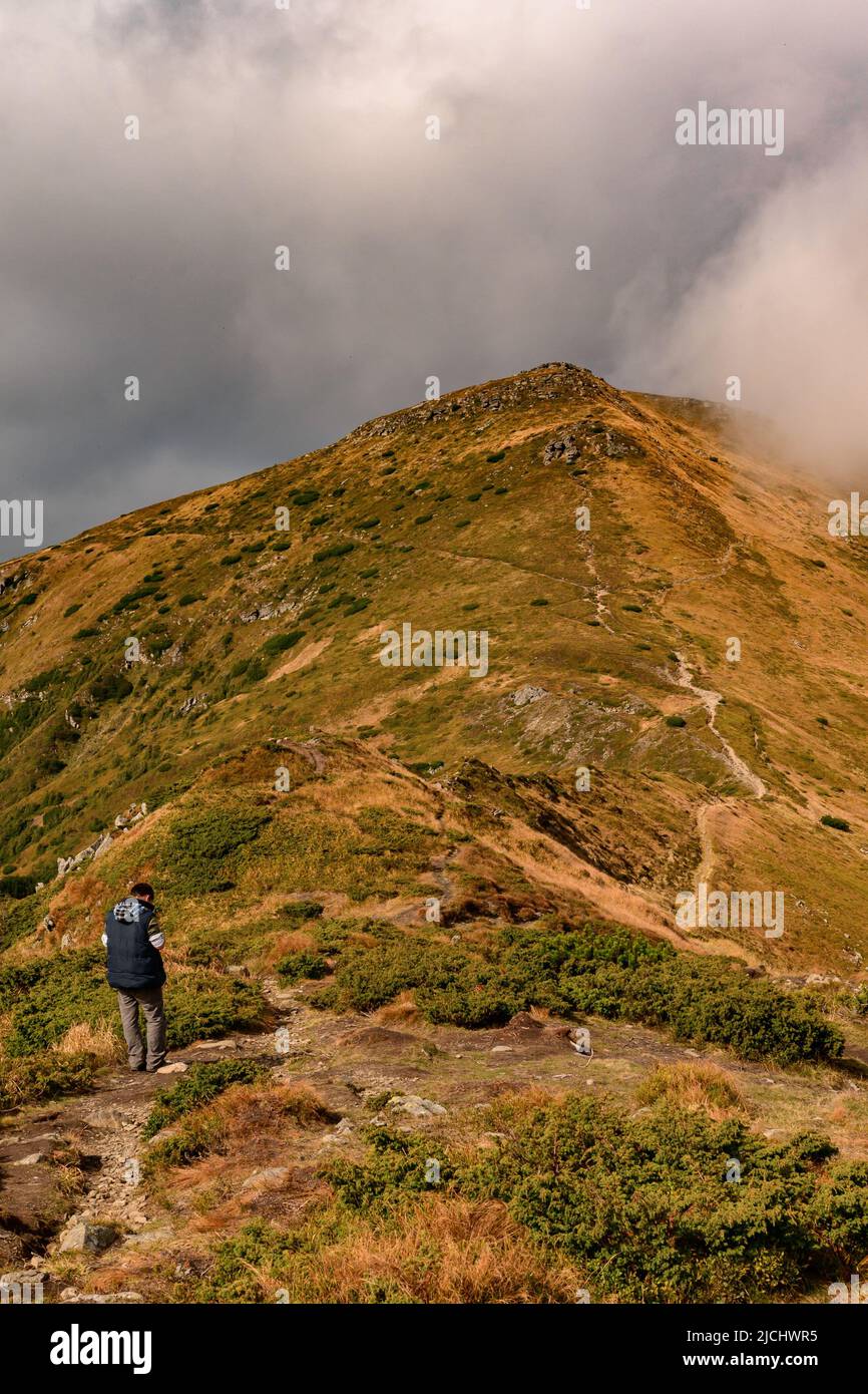 Tourists walk in the autumn mountains, the paths of the Carpathians ...