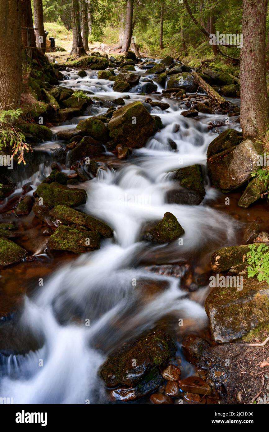 The flow of a mountain river, the blurred movement of water along the ...