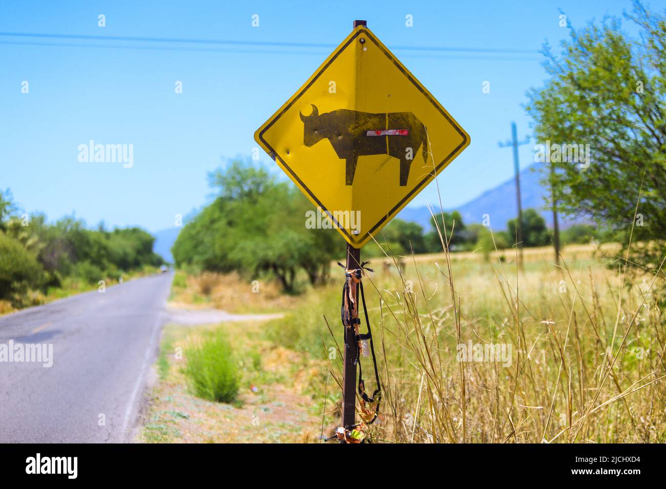 Señalización de ganado hi-res stock photography and images - Alamy