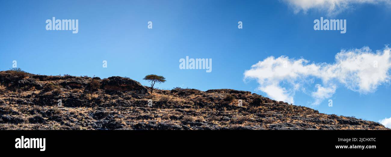 Omaninpictures hi-res stock photography and images - Alamy