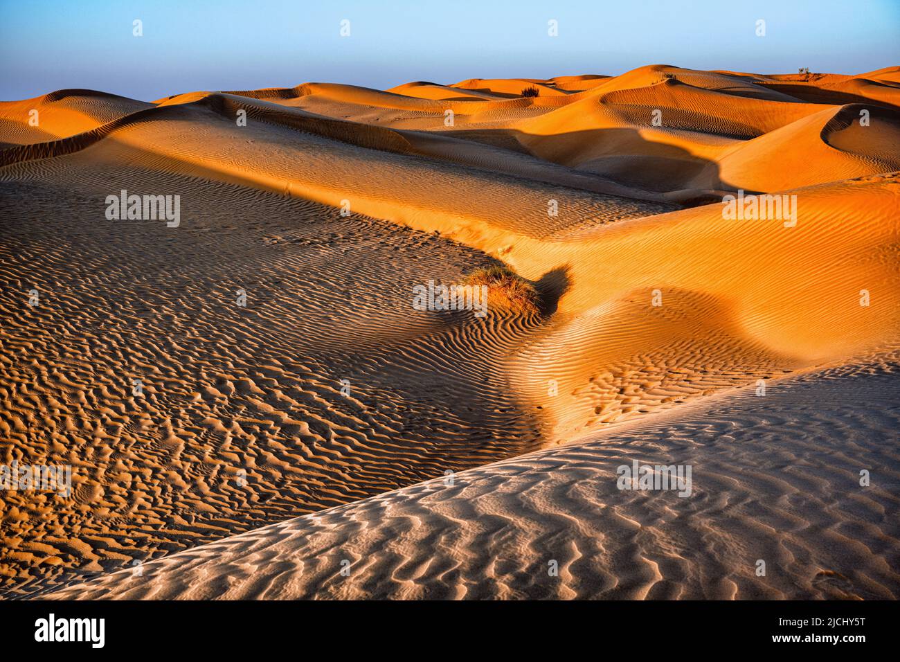 Omaninpictures hi-res stock photography and images - Alamy