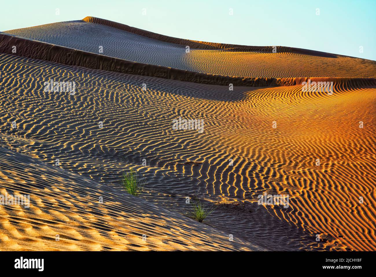 Omaninpictures hi-res stock photography and images - Alamy