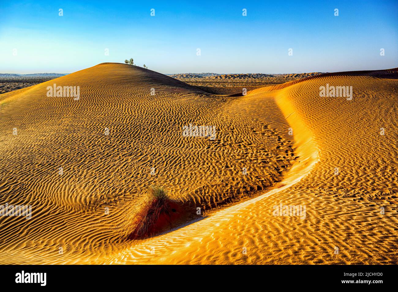 Emptyquarterdesert hi-res stock photography and images - Alamy