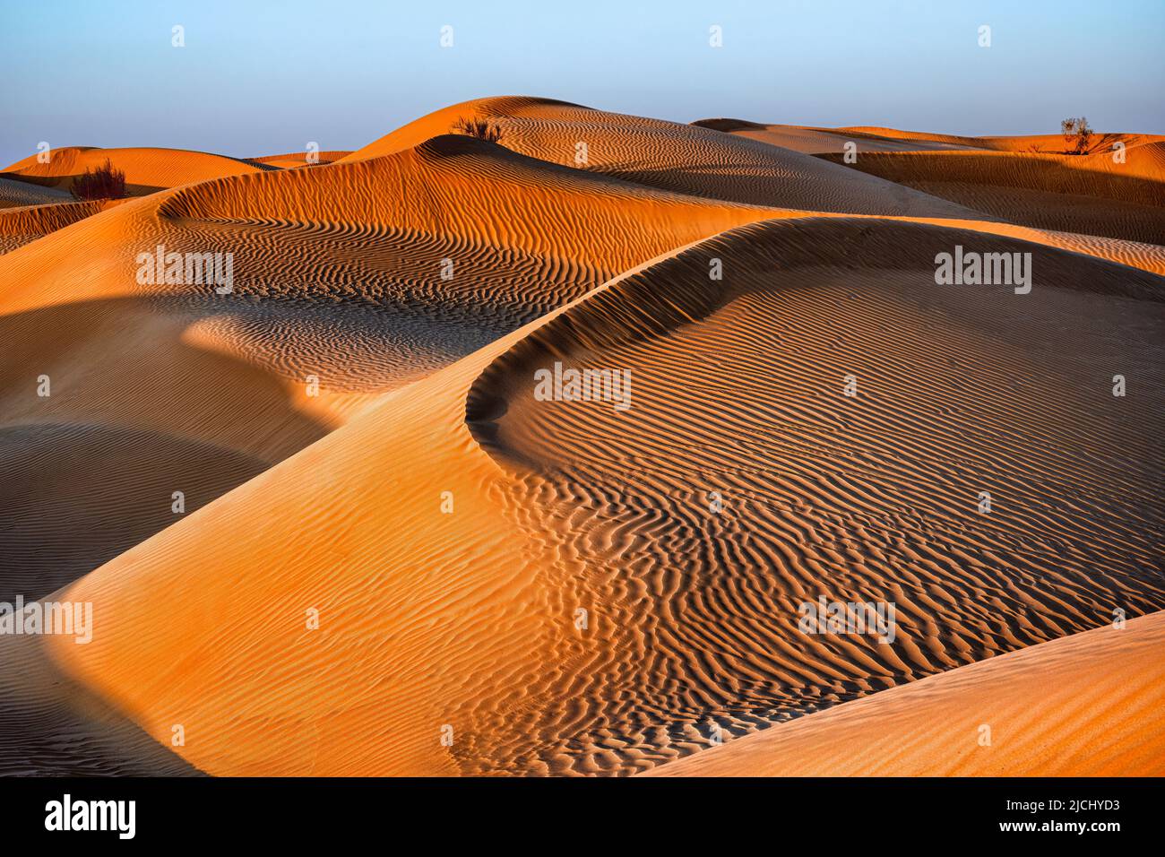 Beauty Empty Desert before sunset I, Oman Stock Photo - Alamy