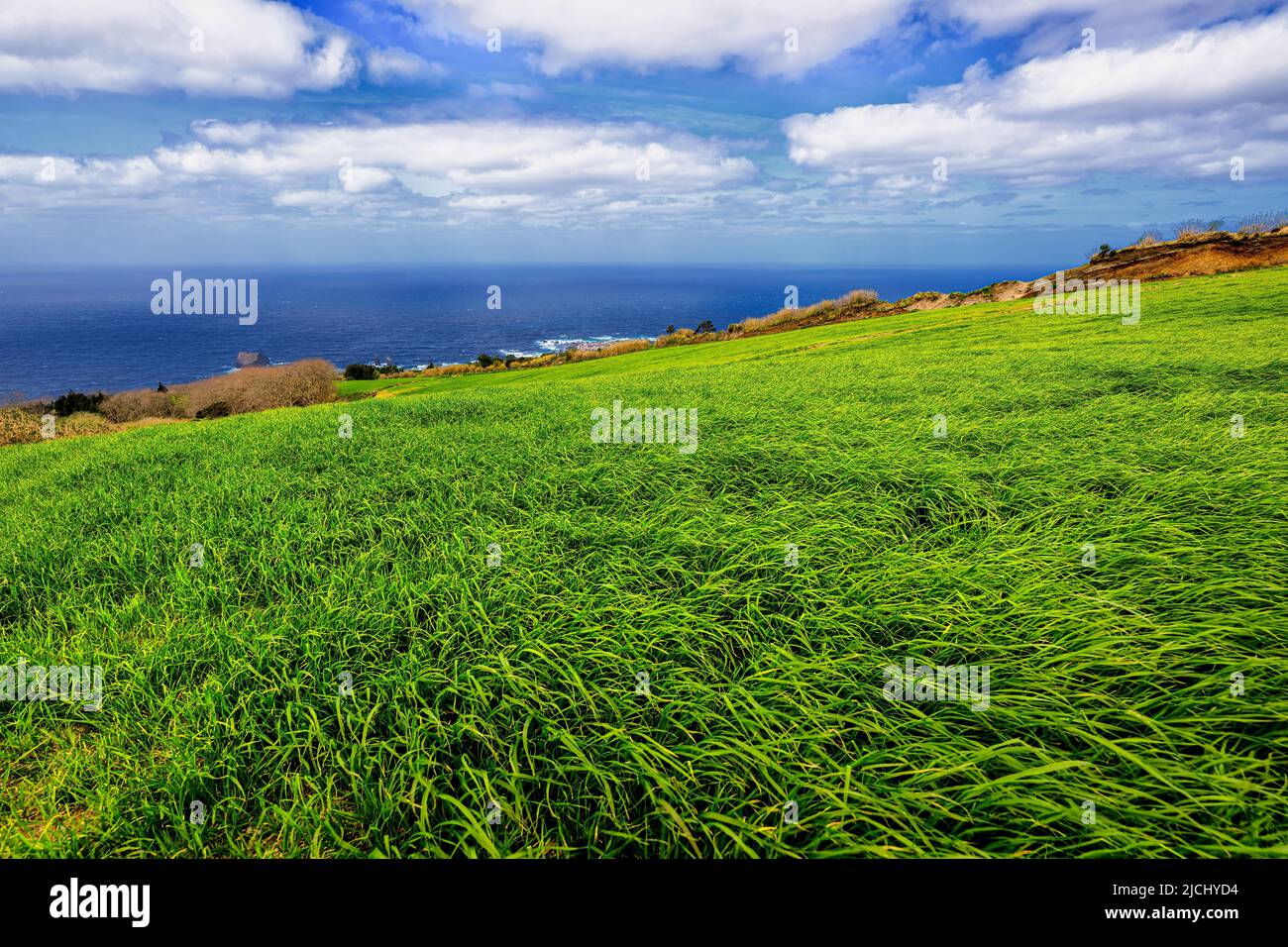 Over the grass. Azores. Sao Miguel Stock Photo - Alamy
