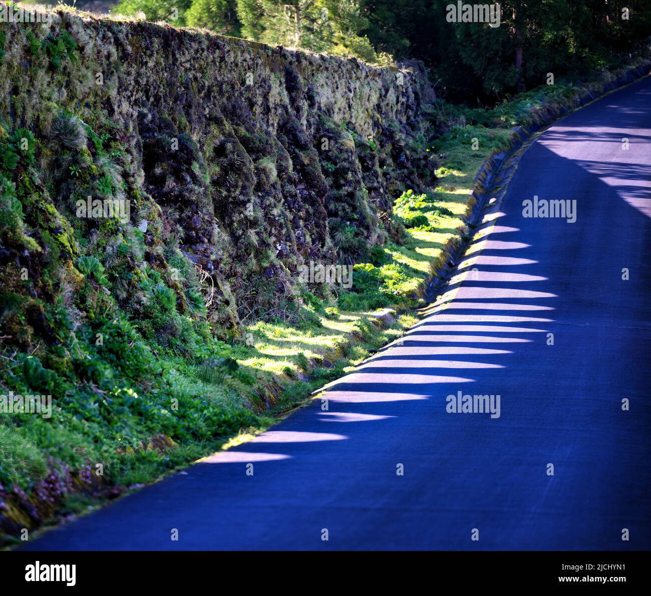 Shadows on the road. Azores. Sao Miguel Stock Photo - Alamy