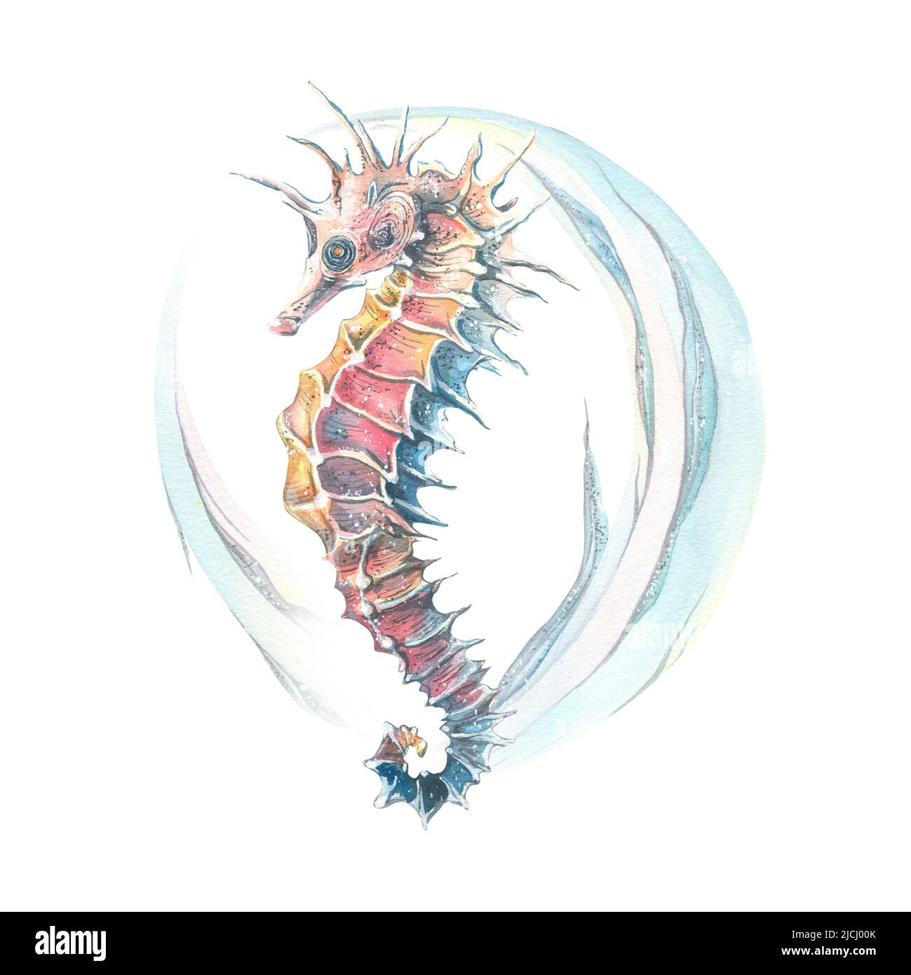 Watercolor illustration composition of marine fauna. Starfish, shells ...