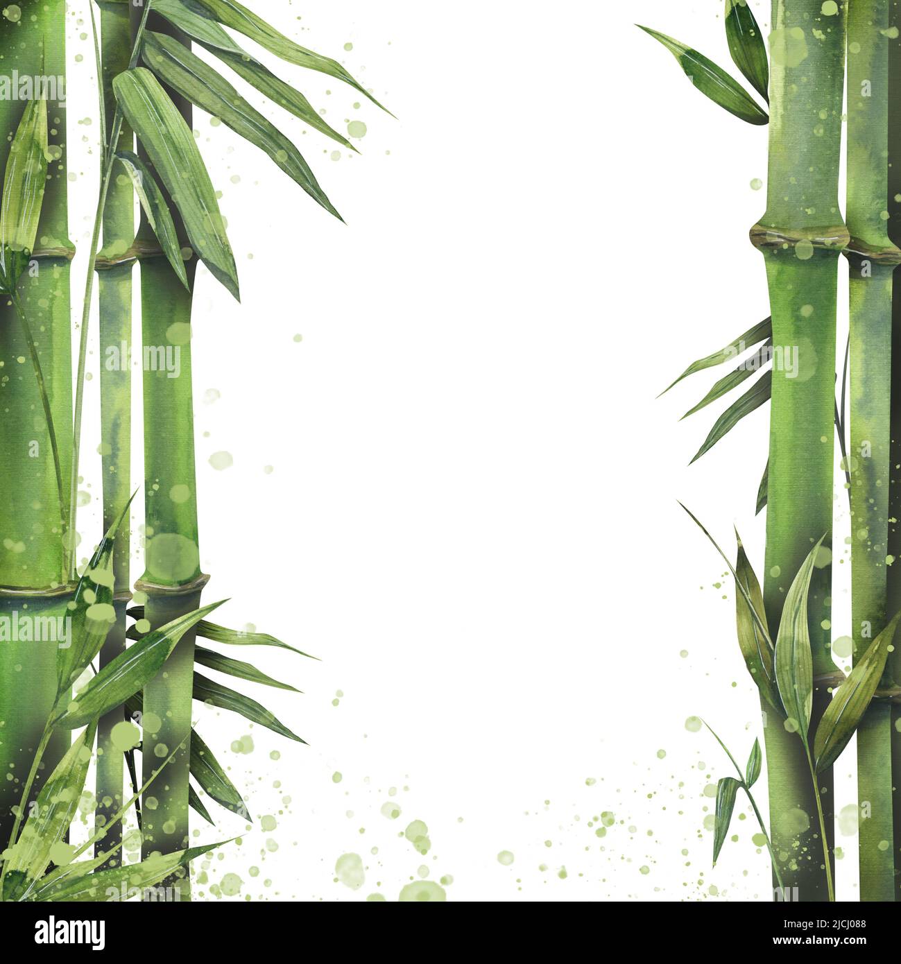 Watercolor illustration, banner with bamboo stems and leaves. With ...