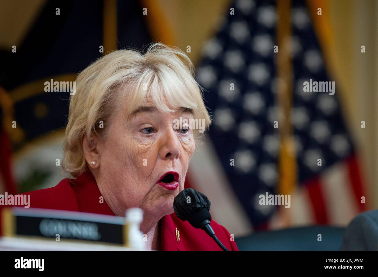 Lofgren hi-res stock photography and images - Alamy