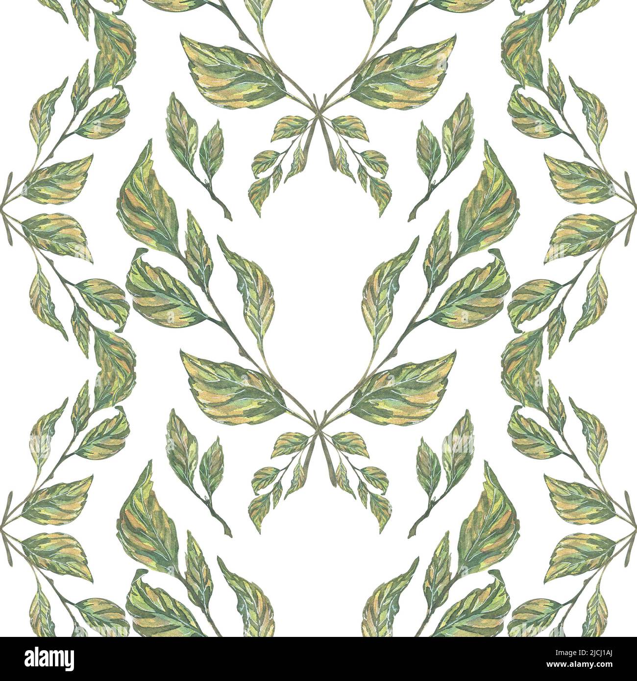 Leaves and branches of an apple tree, green in an ornament. Seamless ...