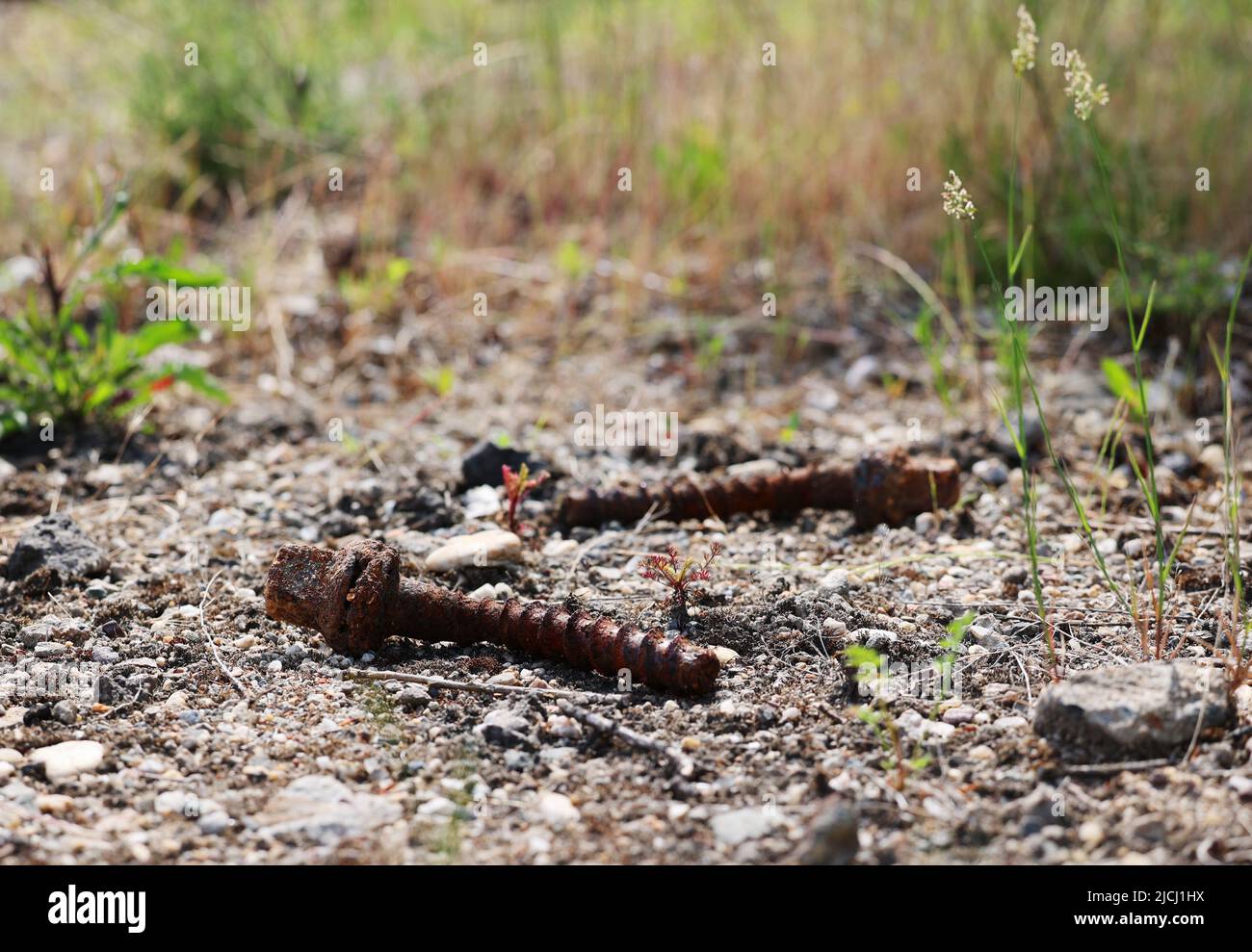 Rusty screws rotting in the nature outdoor Stock Photo - Alamy