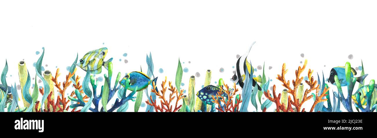 Horizontal board with tropical corals, algae, fish, water splashes ...