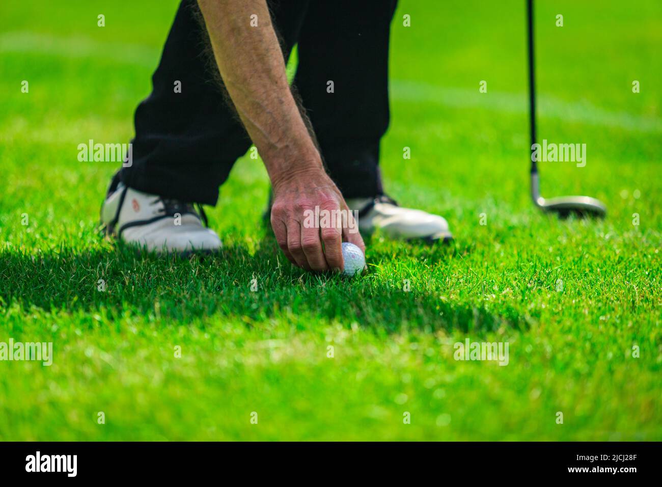 Playing golf. Golf course. Golf ball Stock Photo - Alamy