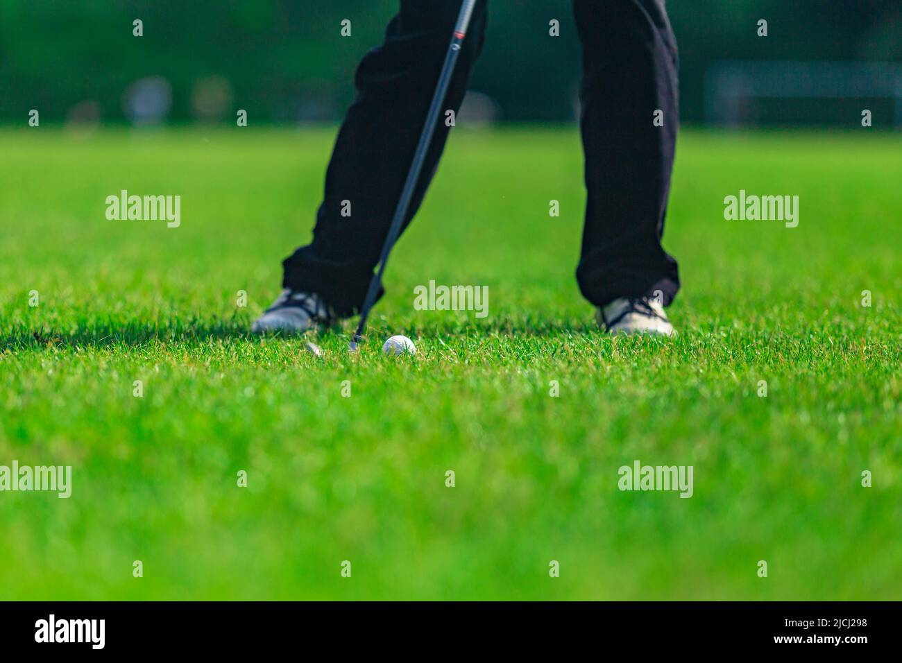 Playing golf. Golf course. Golf ball Stock Photo - Alamy