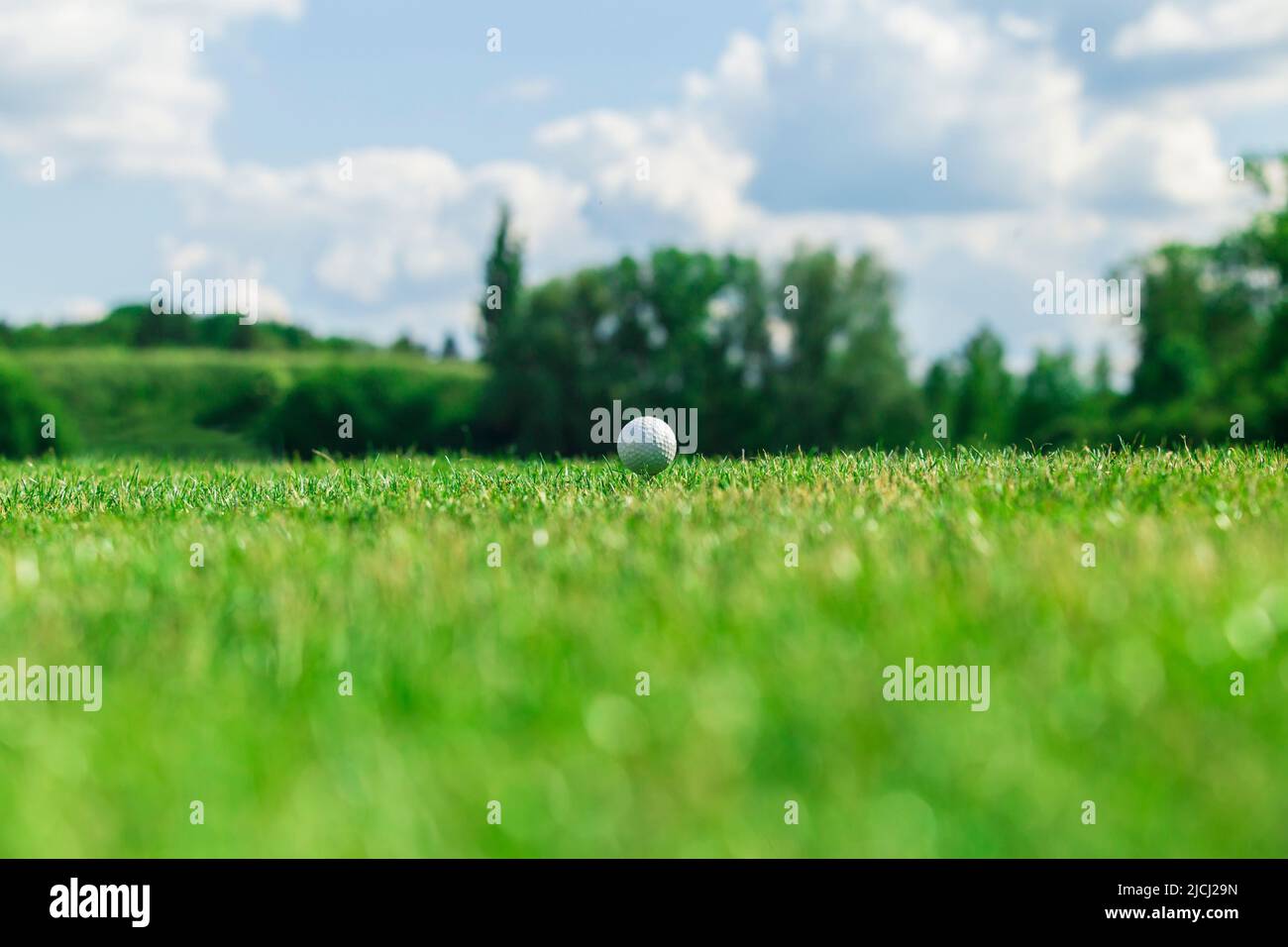 Playing golf. Golf course. Golf ball Stock Photo - Alamy