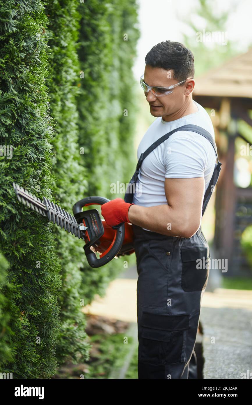 Handsome caucasian man in overalls, safety glasses and gloves pruning ...