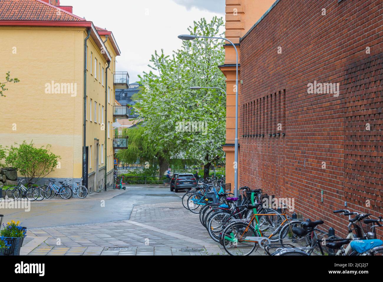 Close up view of bicycle parking on small street in downtown, Uppsala ...