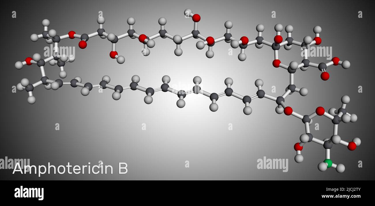 Amphotericin B molecule. It is antifungal used to treat fungal ...