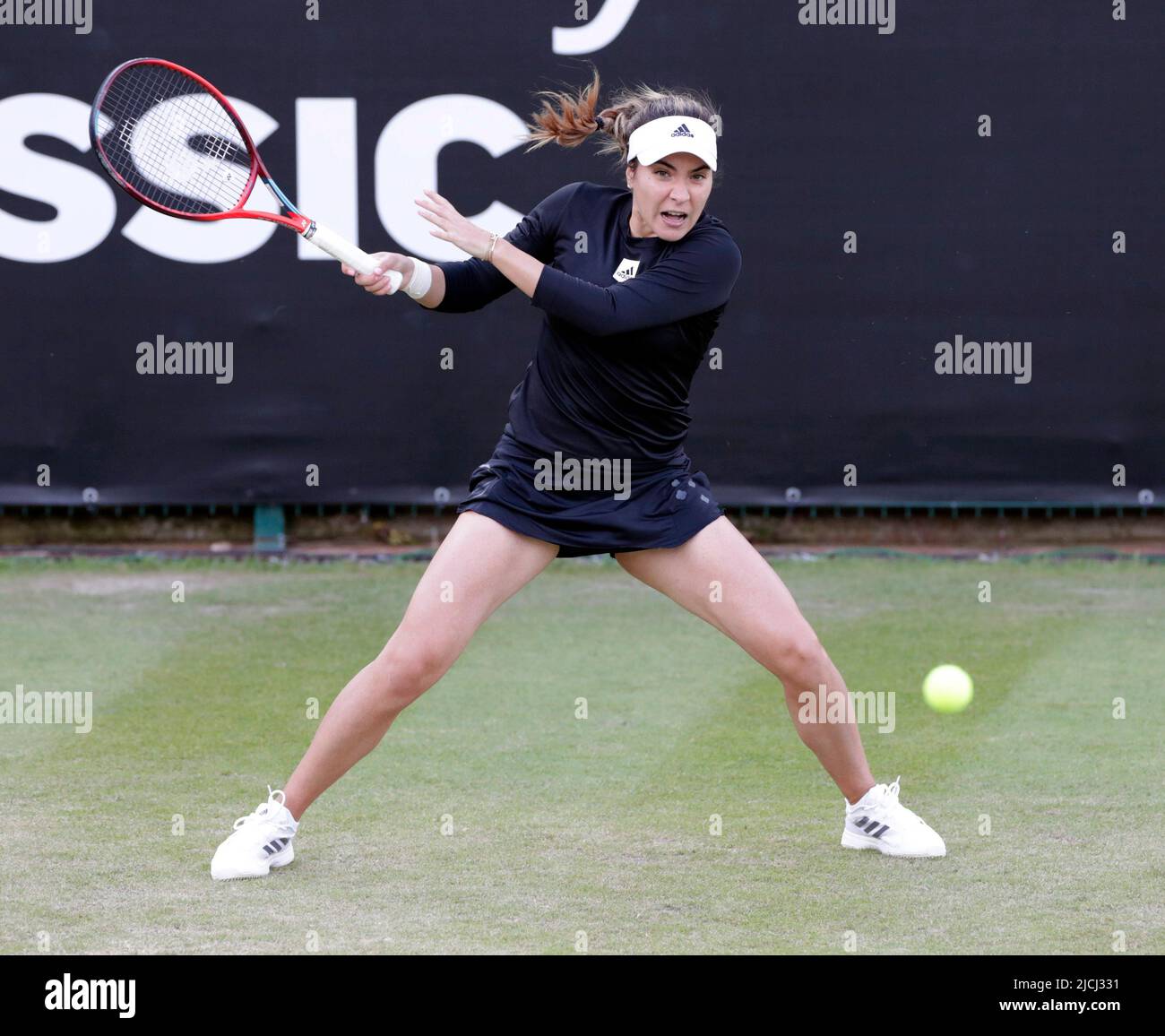 Elena gabriela ruse rou hi-res stock photography and images - Alamy