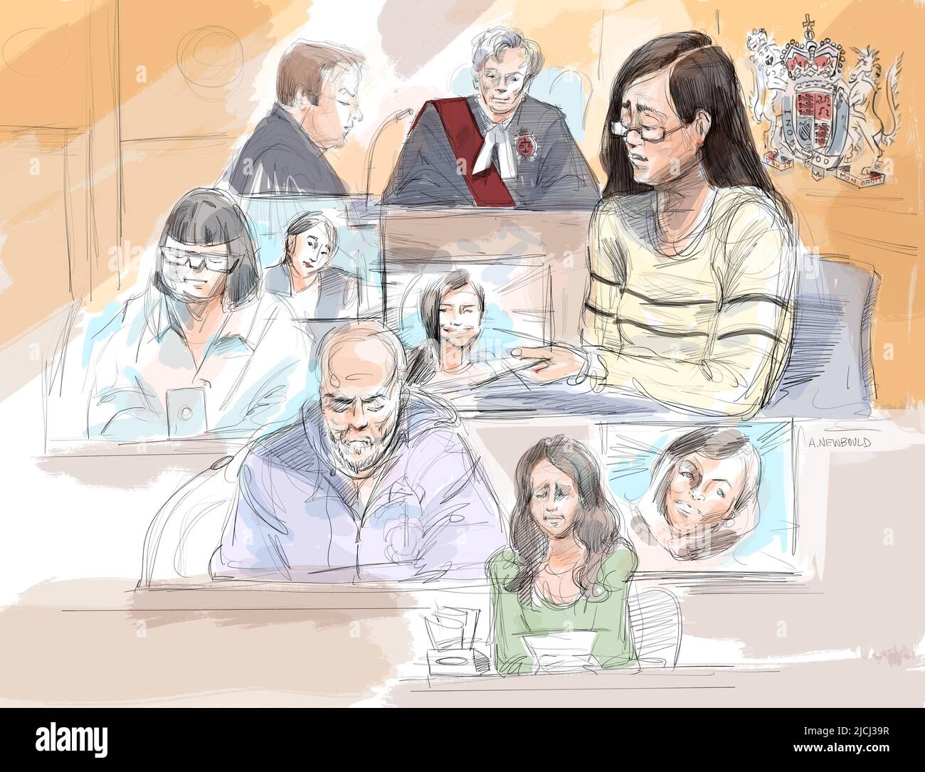 Crown John Rinaldi (clockwise from top left), Justice Anne Molloy ...