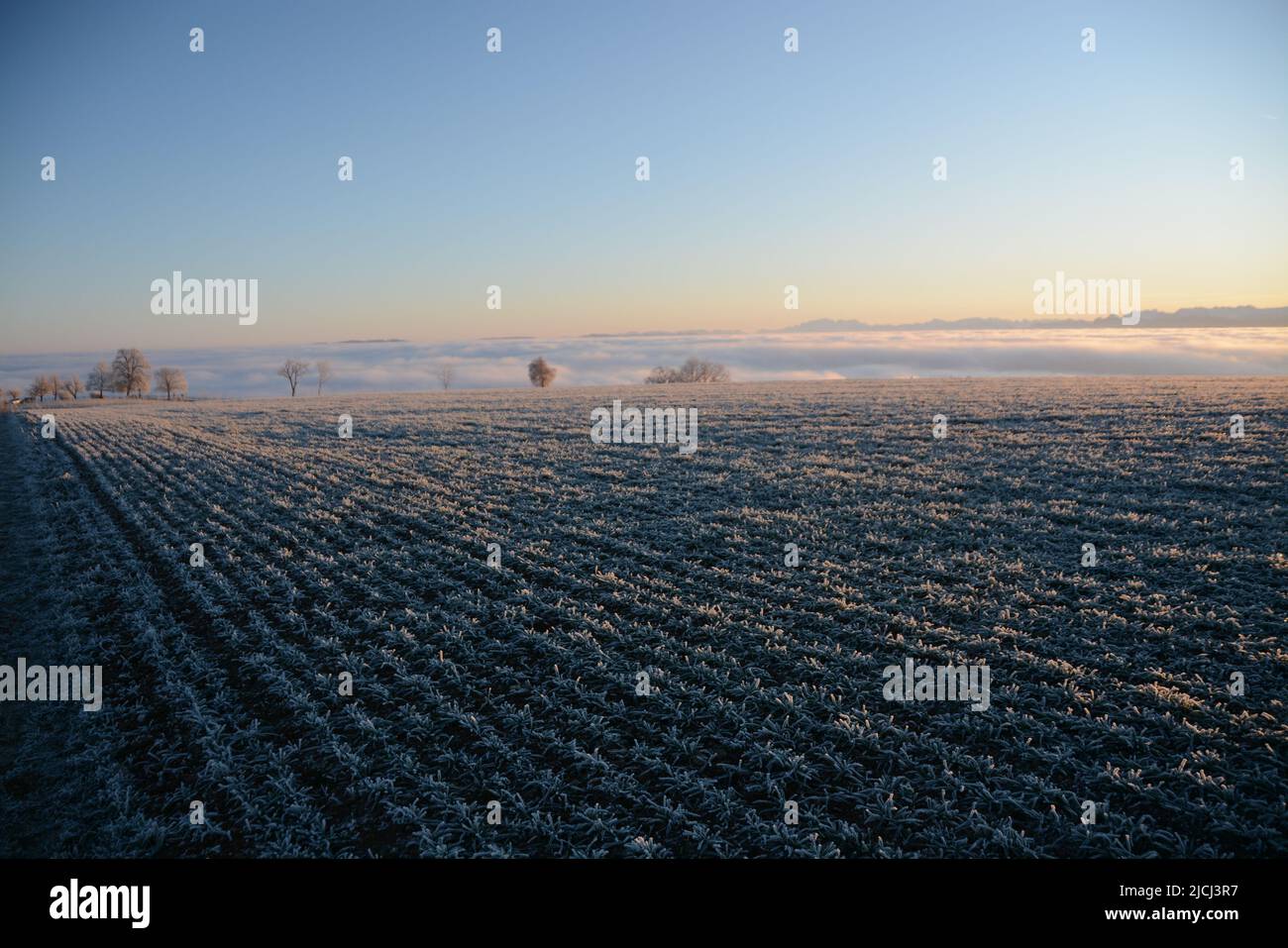 Early winter morning view over sea of fog in midland Switzerland Stock ...