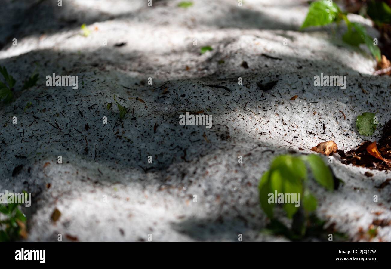 Hail on the ground after the storm. Spring hail balls after heavy ...