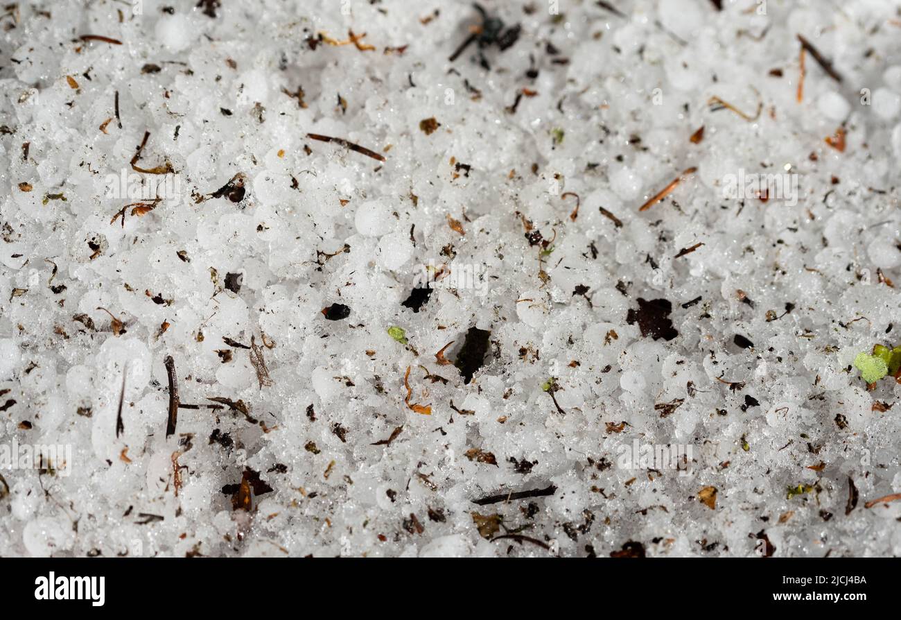 Hail on the ground after the storm. Spring hail balls after heavy ...